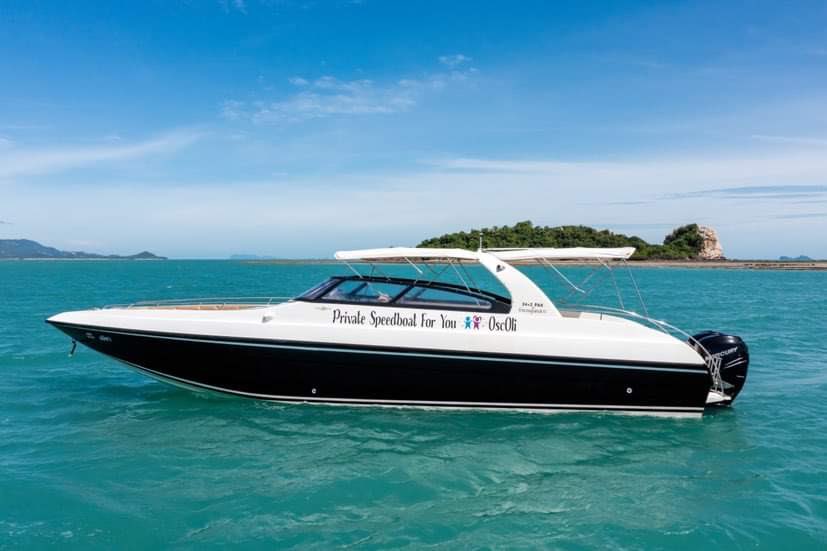 Speed boat HP600 "For you 2"