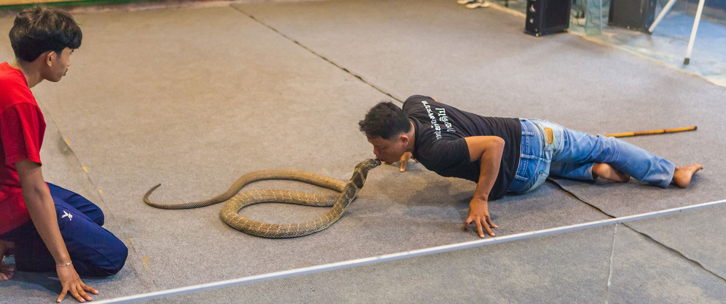 The White Lotus Snake Farm & Cobra Show