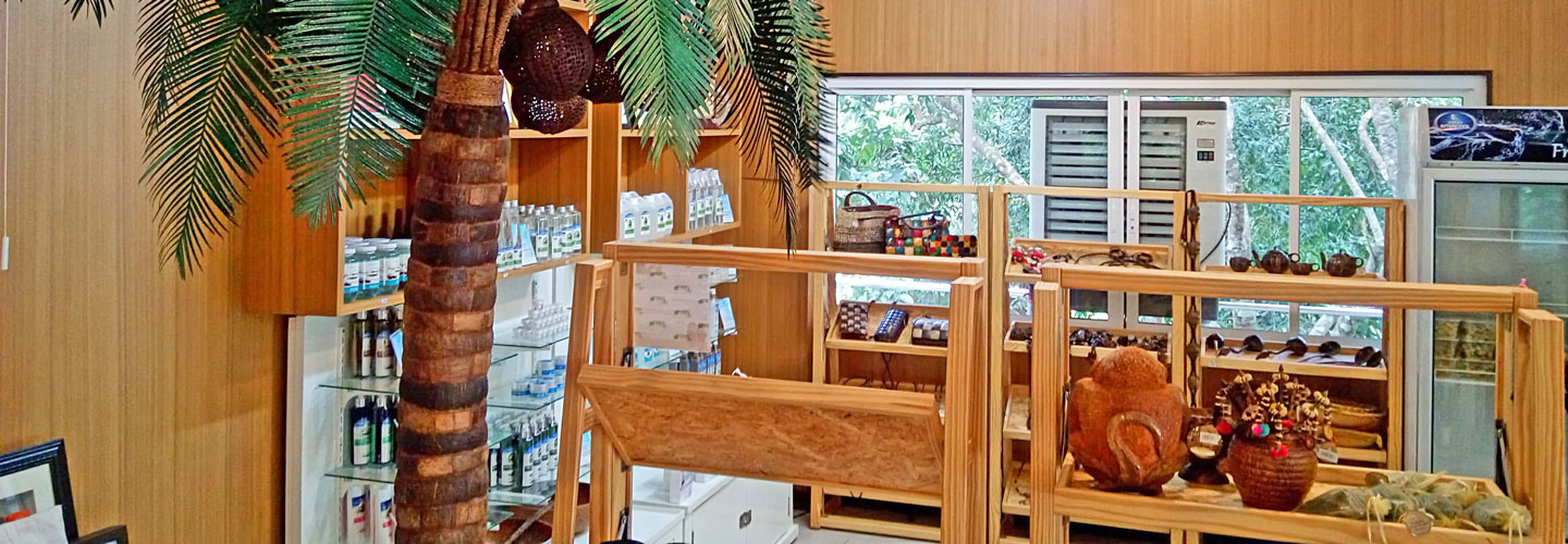 Coconut Museum