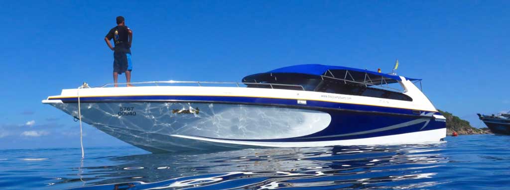 Premium group diving and snorkeling tours by speedboat