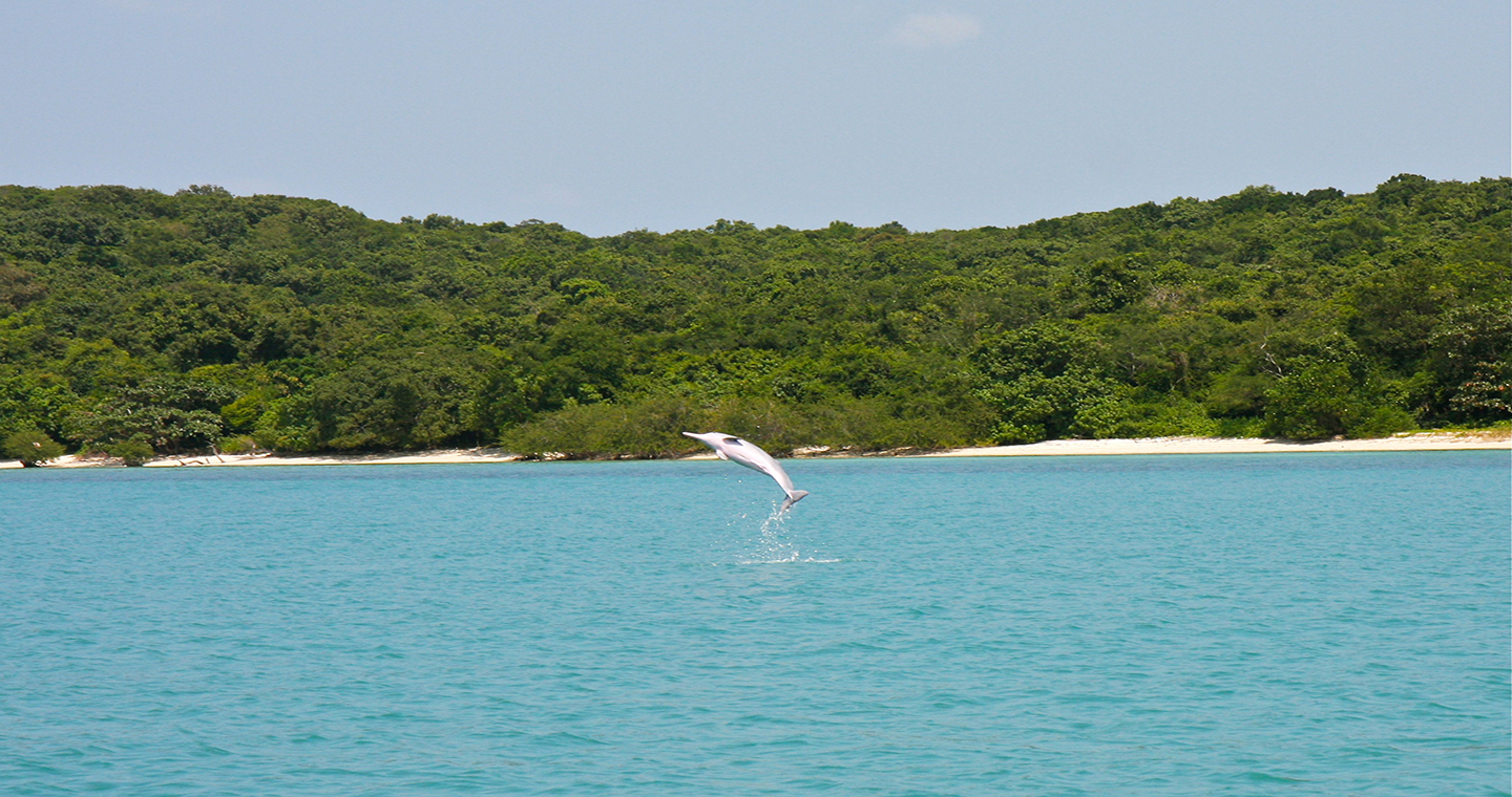 The legends of Khanom – pink dolphins, waterfalls and caves