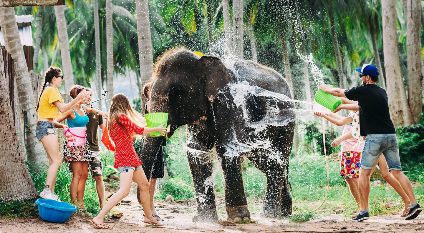 Rent of elephant