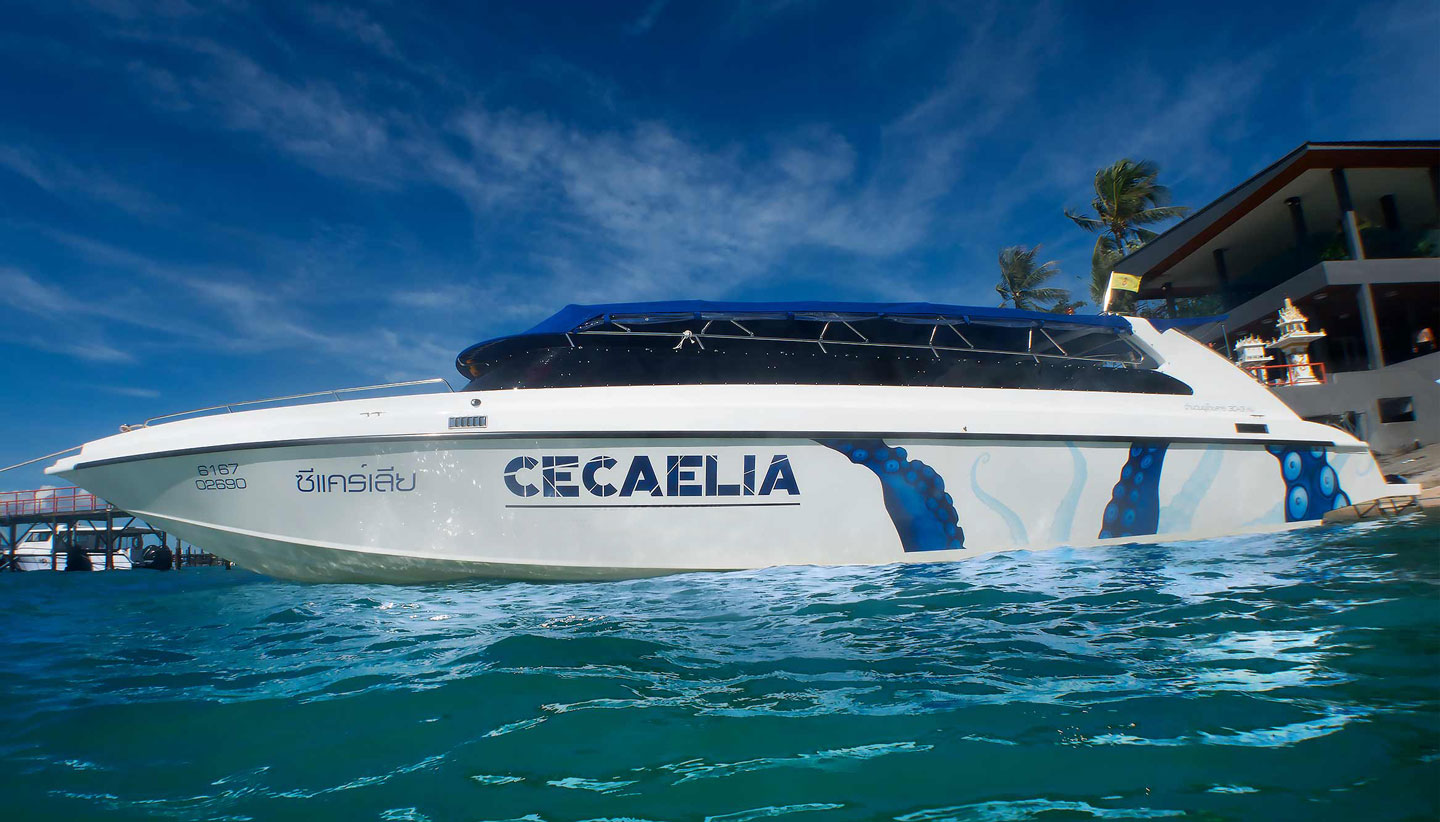 Speedboat "Cecaelia"