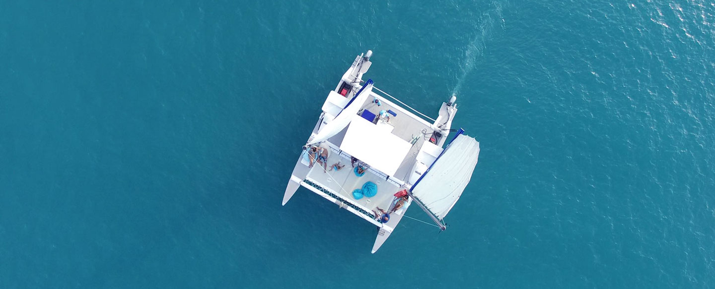 Sailing catamaran "Turbo Cat"